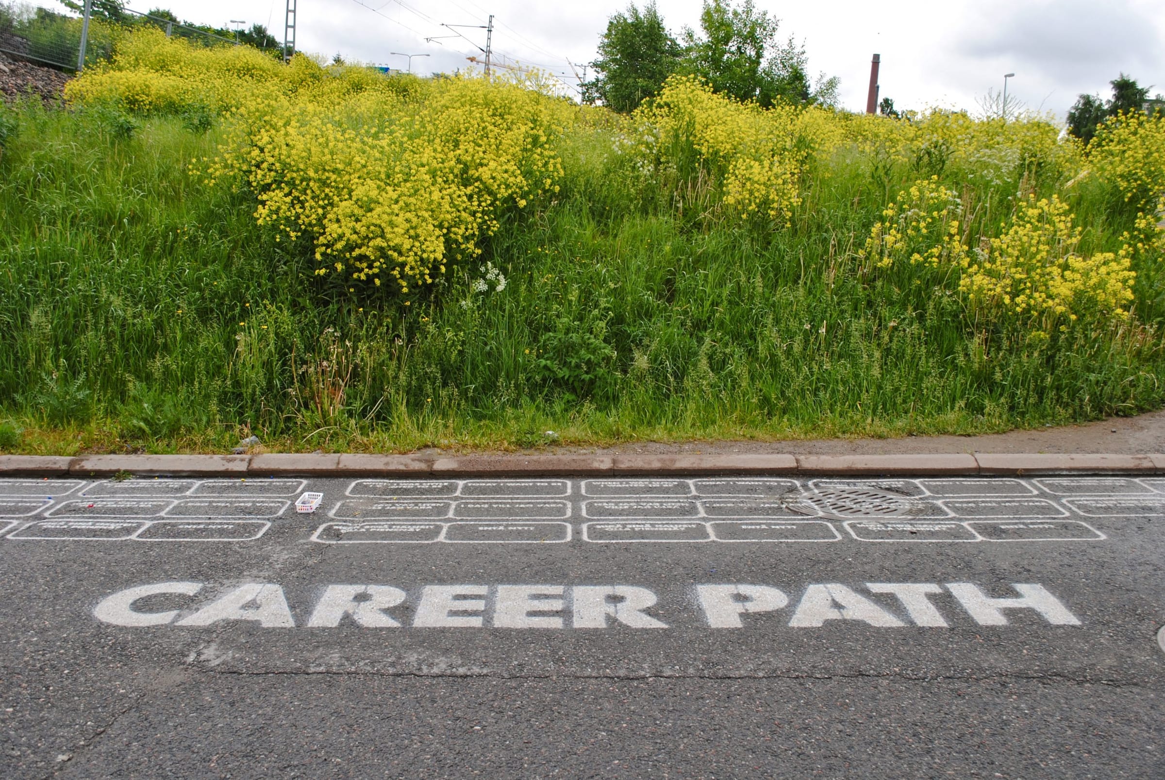 Career Path