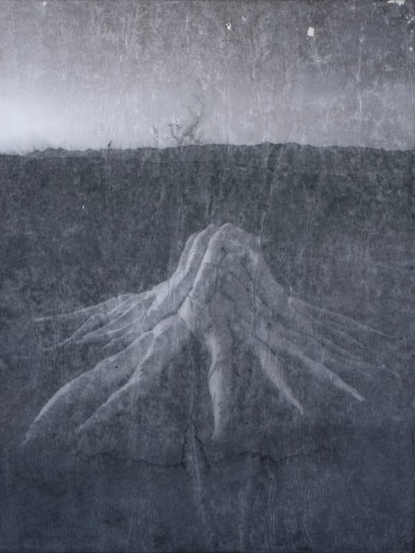 Bodies Without Organs